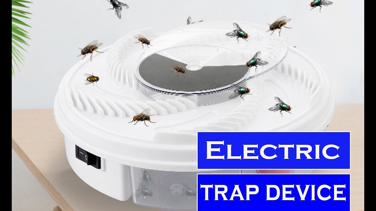 Without Killing. Fly Trap Device (USB) **ToolSonic.com** - YouTube