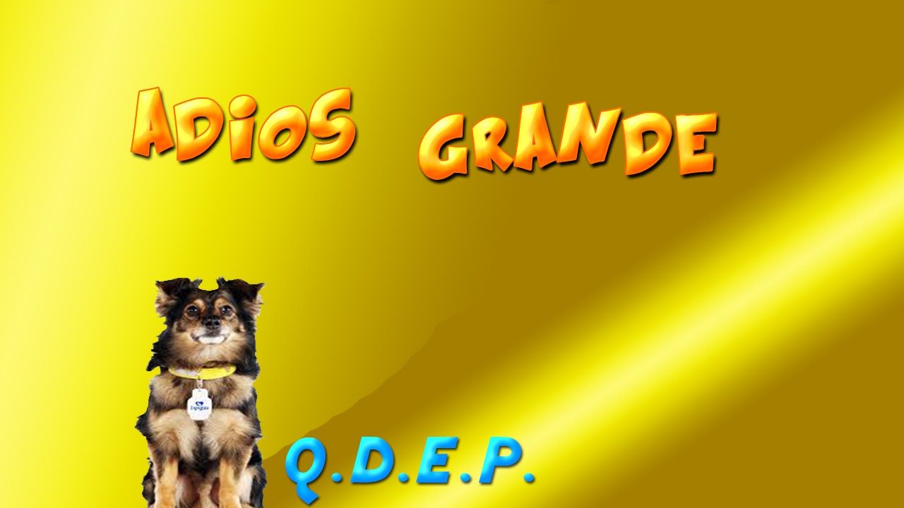 MUERE EL PERRO DE LIPIGAS (SPIKE) ADIOS GRANDE... - YouTube