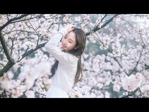 the night of the comet 2💞 koreanhindimix❣️Chineseluvstory 💖 korean_hindi_mix❣️cute love story 💖part1
