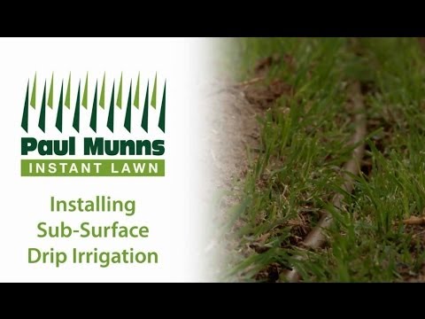 How To Plan An Underground Drip Irrigation System Lawn