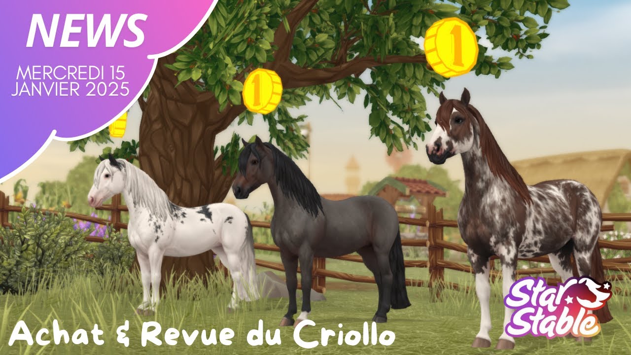 NEWS | Achat & Revue du Criollo + Nouveaux ensembles / Star Stable ...