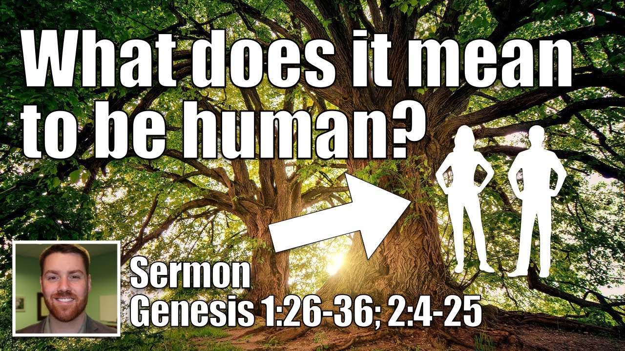 What does it mean to be human? | Genesis 1:26-36; 2:4-25 (The Genesis ...