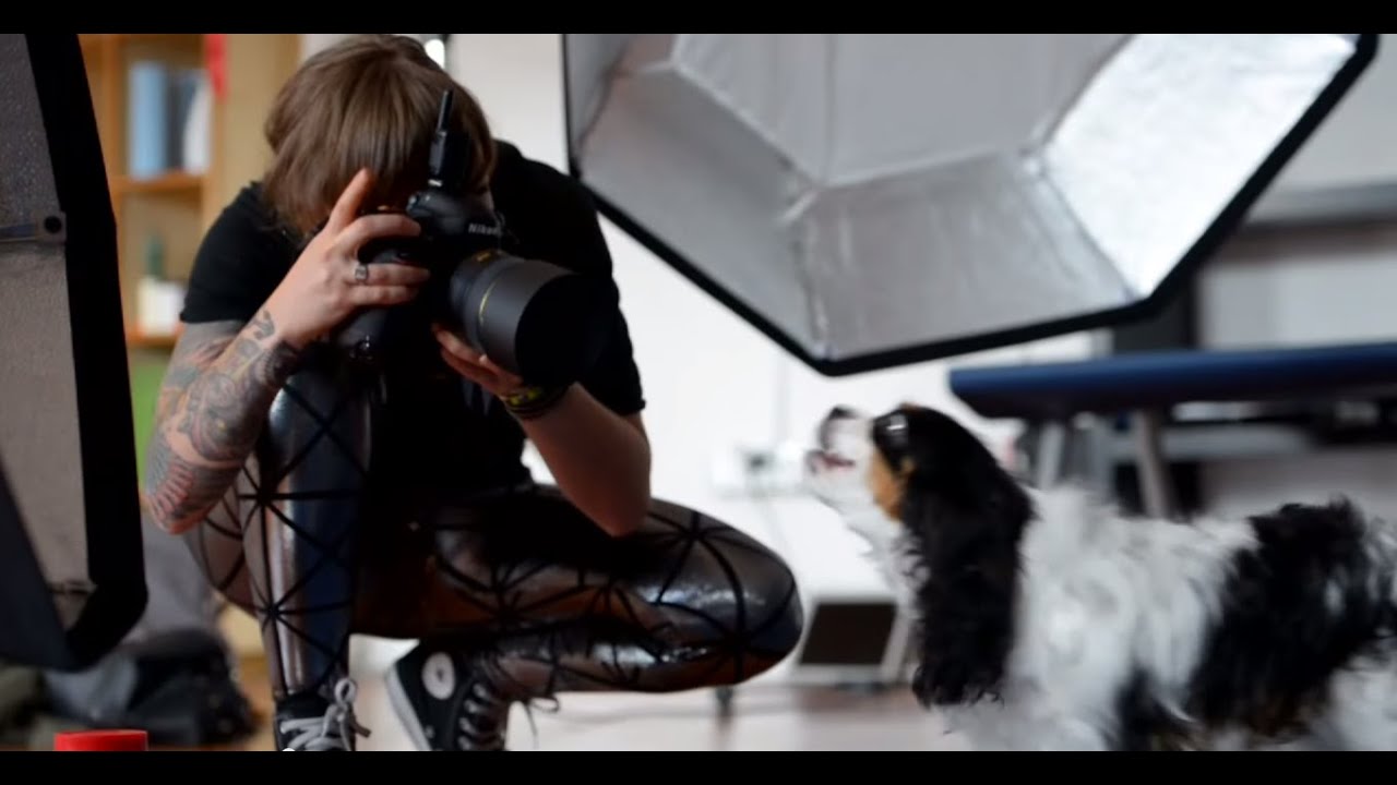 How to photograph your pets | Carli Davidson - YouTube