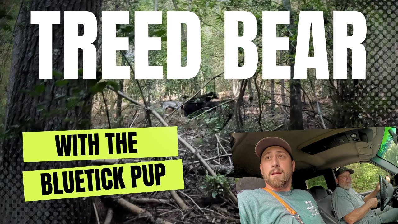 Awesome bear running action!! Up close!!! Finally caught one with the ...