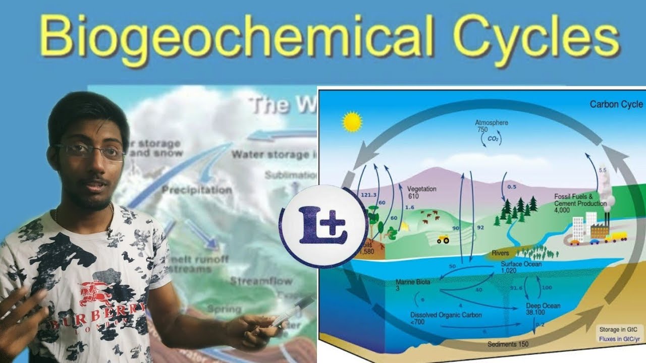 CONCEPTS AND SIGNIFICANCE OF BIO- GEO CHEMICAL CYCLE ।। (PART - 1 ...