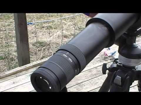 Zeiss 18-45x65 Field Scope, Swarovski CTC & CTS.  Best spotter for varminting?