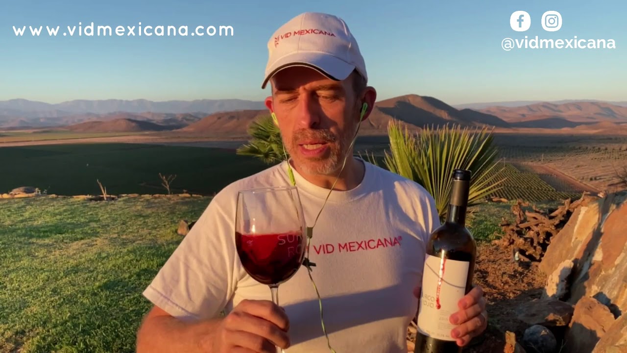 SURCO ROJO DESDE ENSENADA - YouTube