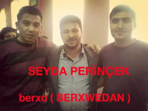 Seyda perinçek berxo ( berxwedan )