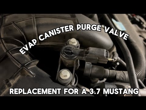 Where Is 2002 Mustang Purgwe Valve Canister
