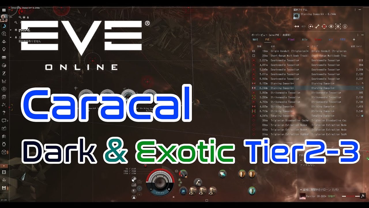 カラカル（Caracal）で攻略！ダークマター領域＆エキゾチック粒子嵐 Tier 2～Tier 3 アビス研究 #03【EVE ONLINE ...
