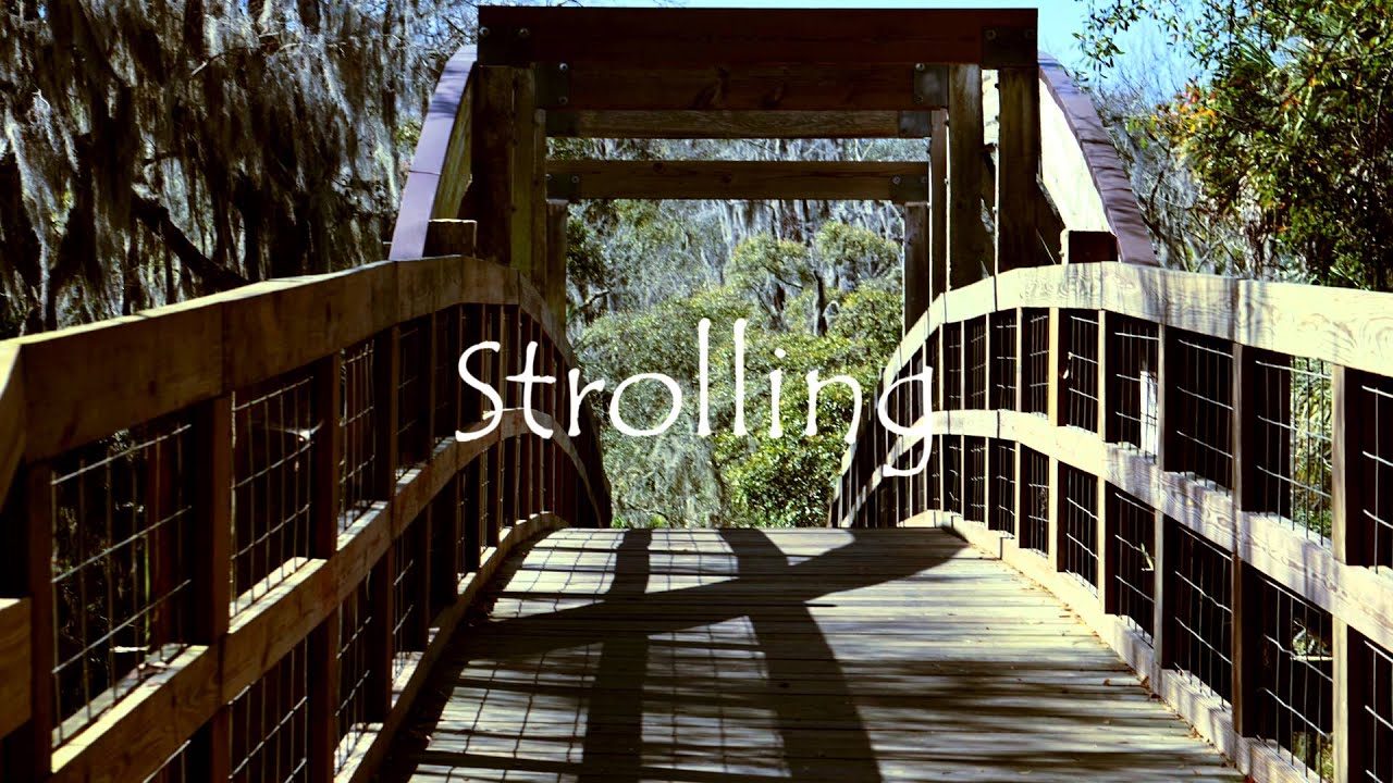 Strolling - A Homemade Song (2015) - YouTube