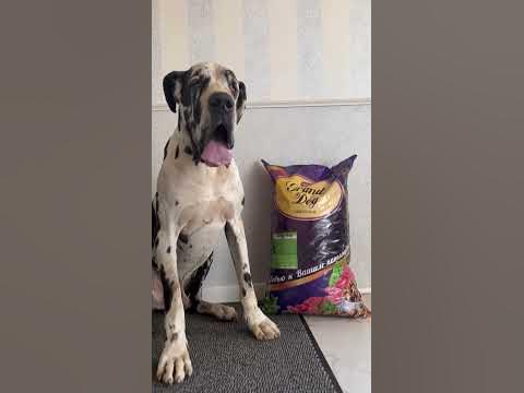 Grand Dog корм без курицы☎️89119838623🚛Доставка по Санкт Петербургу ...