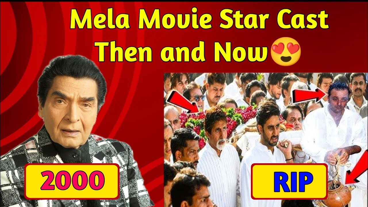 Mela Movie Star Cast Then and Now | Mela 2000 Actors Real Life ...