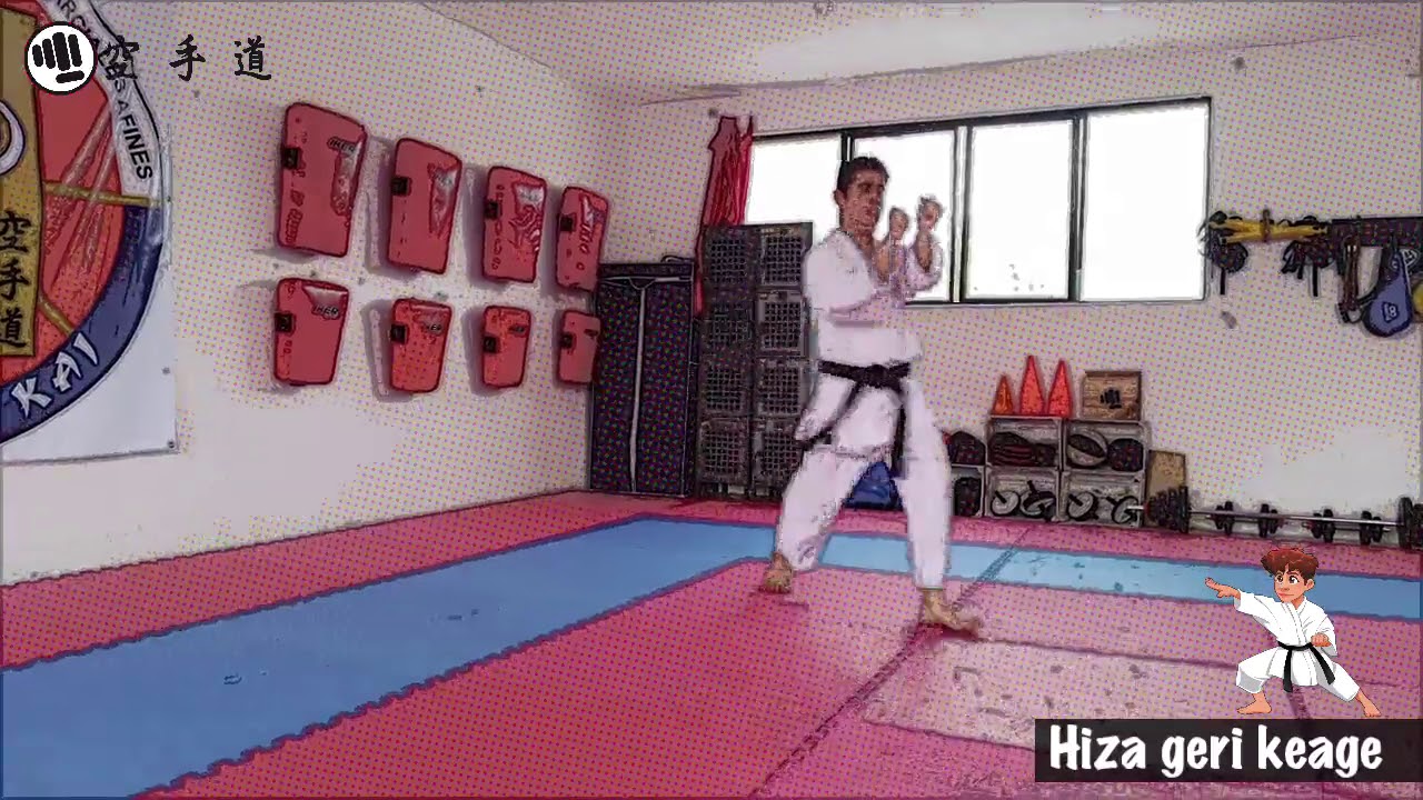 👊 Hiza geri keage / Técnicas de Karate Do - YouTube