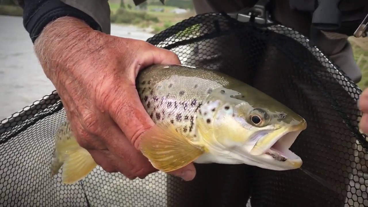 Fishing in Gore New Zealand - made by a client - Seth from Oregon - YouTube