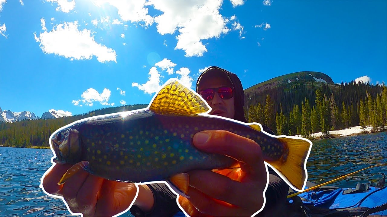 Fishing For Trophy Sized Brook Trout in Colorado's Indian Peaks ...