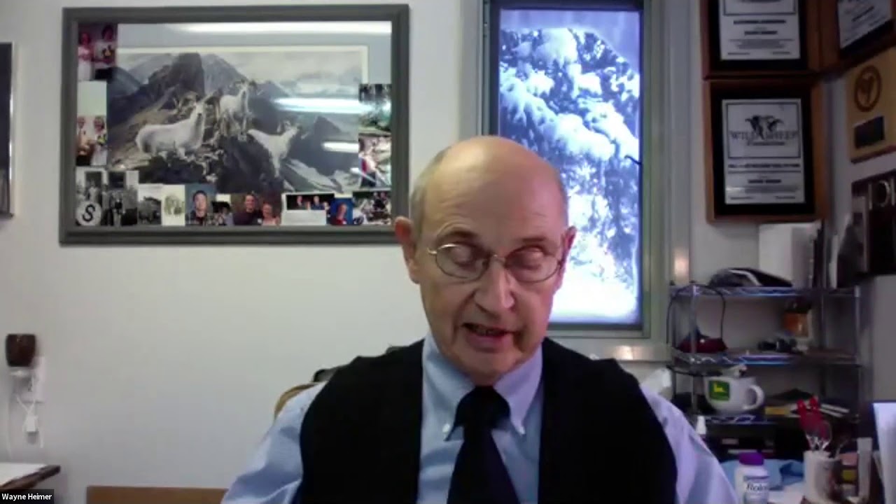 Wayne E. Heimer: Management Update and Summary: Alaskan Dall Sheep 2020 ...