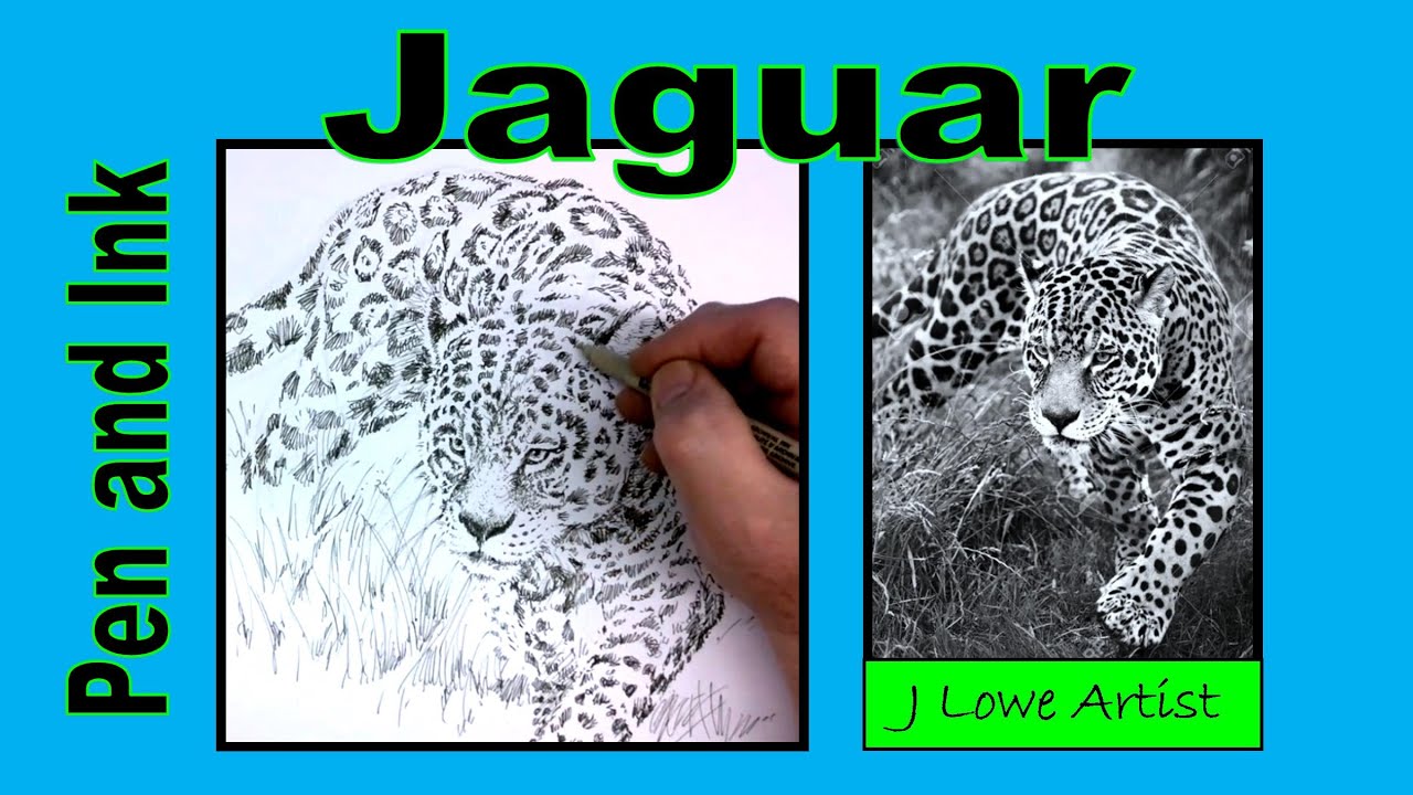 JAGUAR INK DRAWING TUTORIAL STEP BY STEP - YouTube