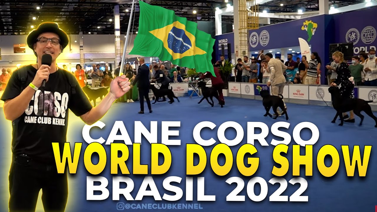 CANE CORSO NA WORLD DOG SHOW BRASIL 2022 - PARTE 1 | CANE CLUB KENNEL ...