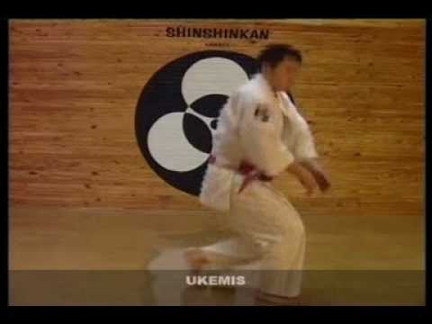 SHINSHINKAN ISSHIN RYU KARATE - UKEMIS - YouTube