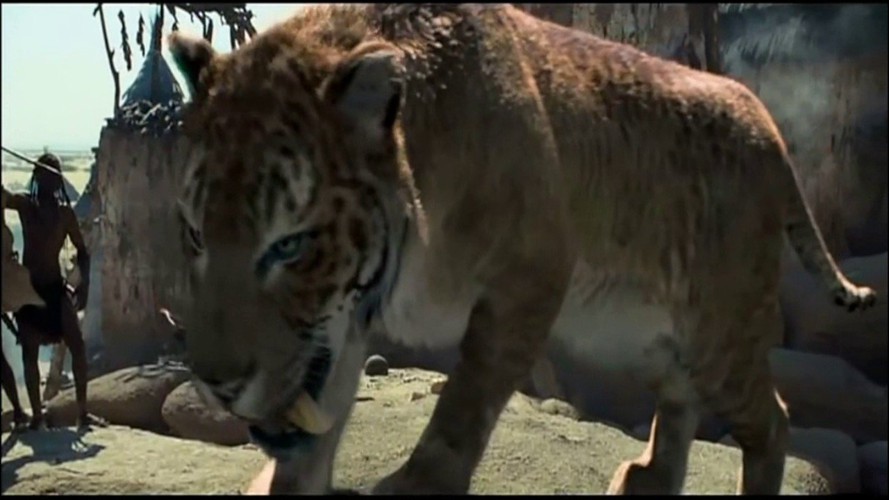 Quinn Were Tiger - YouTube