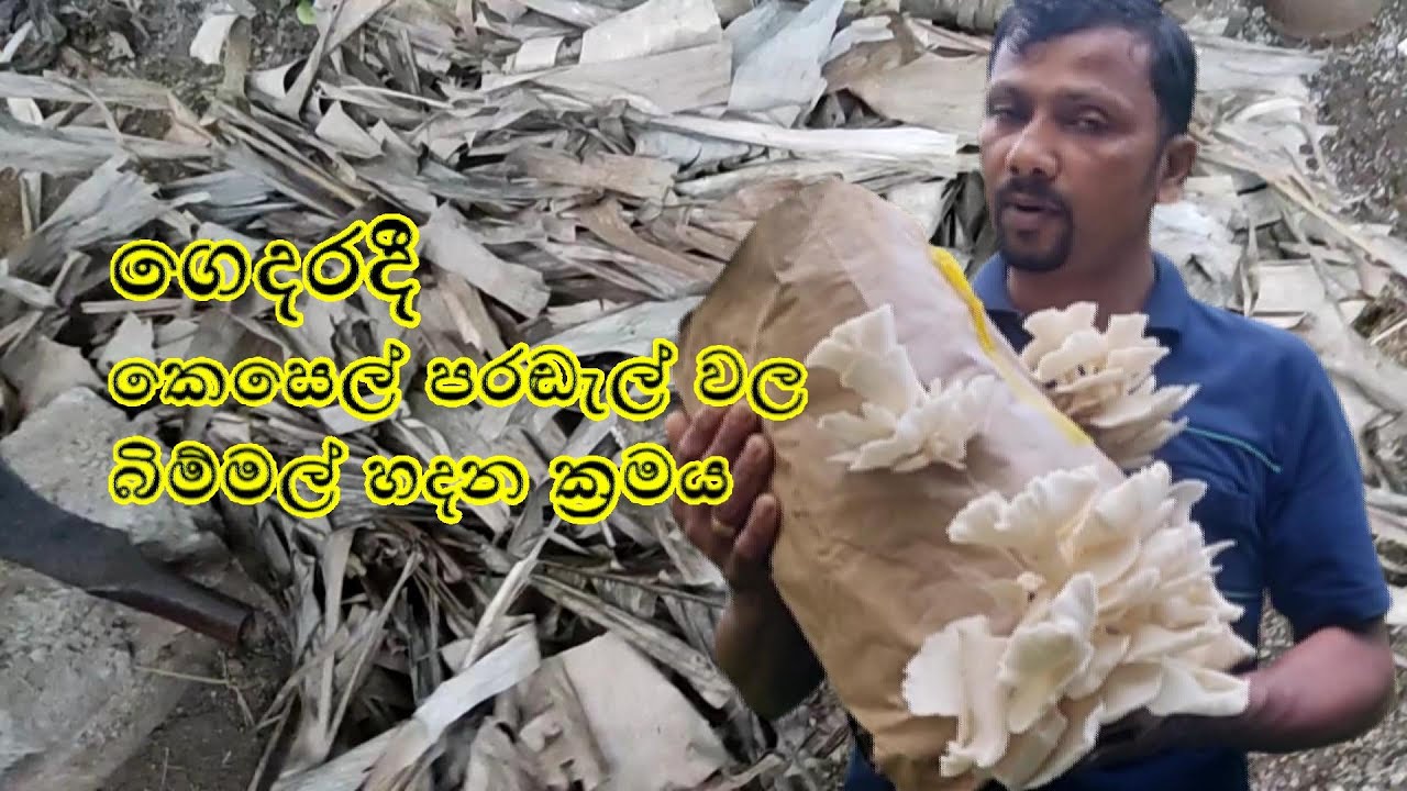 බිම්මල් ගෙදර හදන්නේ කොහොමද | කෙසෙල් පරඬැල් පිදුරු මත බිම්මල් | How to ...