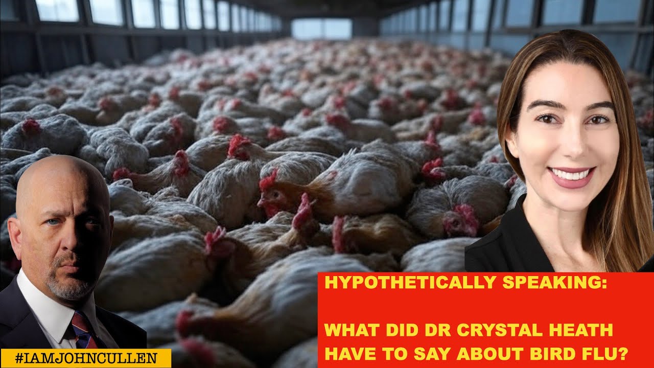 Hypothetically Speaking: What Did Dr. Crystal Heath Say About Bird Flu ...