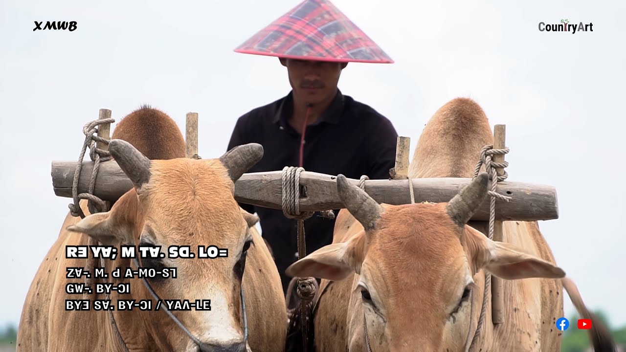 Lisu Gospel Song_ Thanksgiving Song_ ꓣꓱ ꓬꓯꓼ ꓟ ꓔꓯ. ꓢꓷ. ꓡꓳ= - YouTube