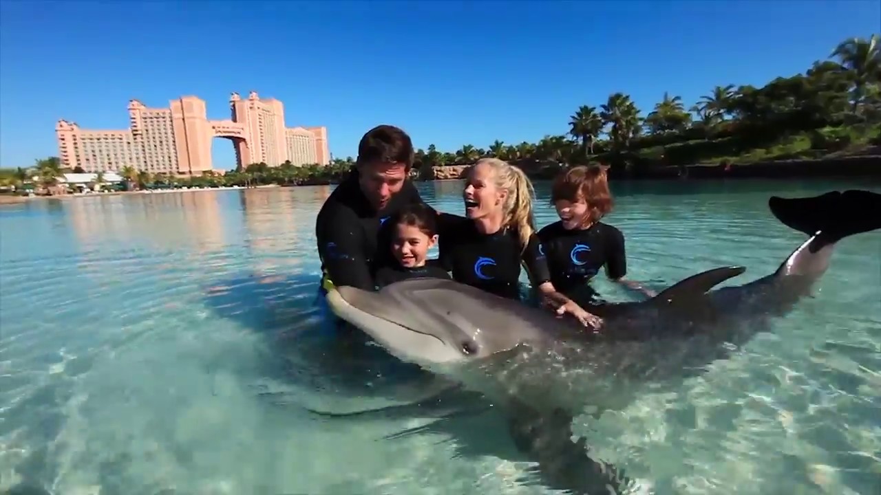 Nassau Atlantis Shallow Water Dolphin Aqua venture - YouTube