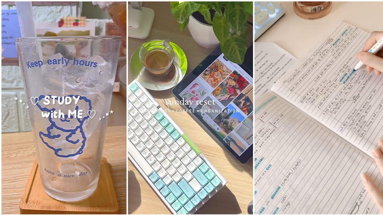 Study With Me 📚 TikTok Compilation - YouTube