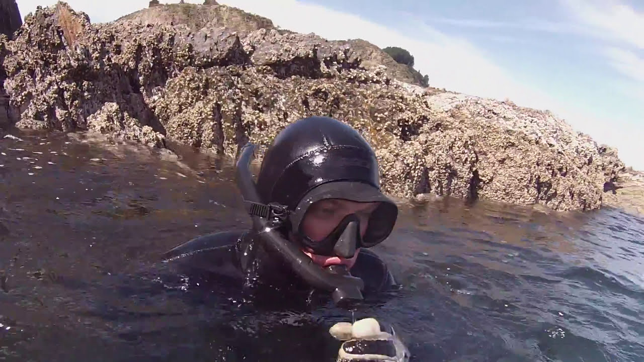 Winter Spearfishing New Zealand Trailer - YouTube