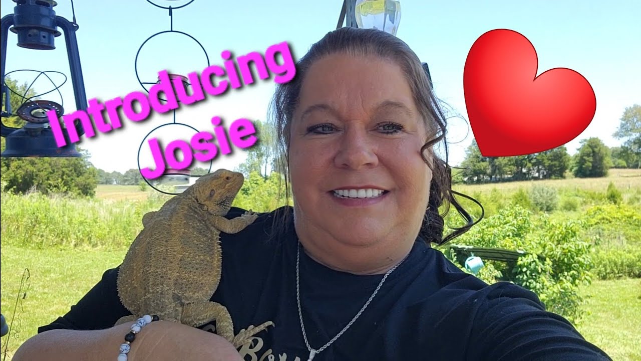 Josie the Bearded Dragon & Temu family loving ️ 😍! - YouTube