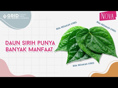 4 Manfaat Daun Sirih