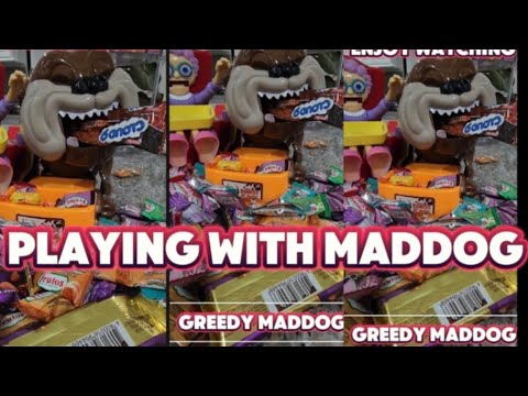 LET'S PLAY GREEDY MAD DOG 🐕/HAVE FUN WITH MADDOG #ASMR #MADDOG EATING A ...