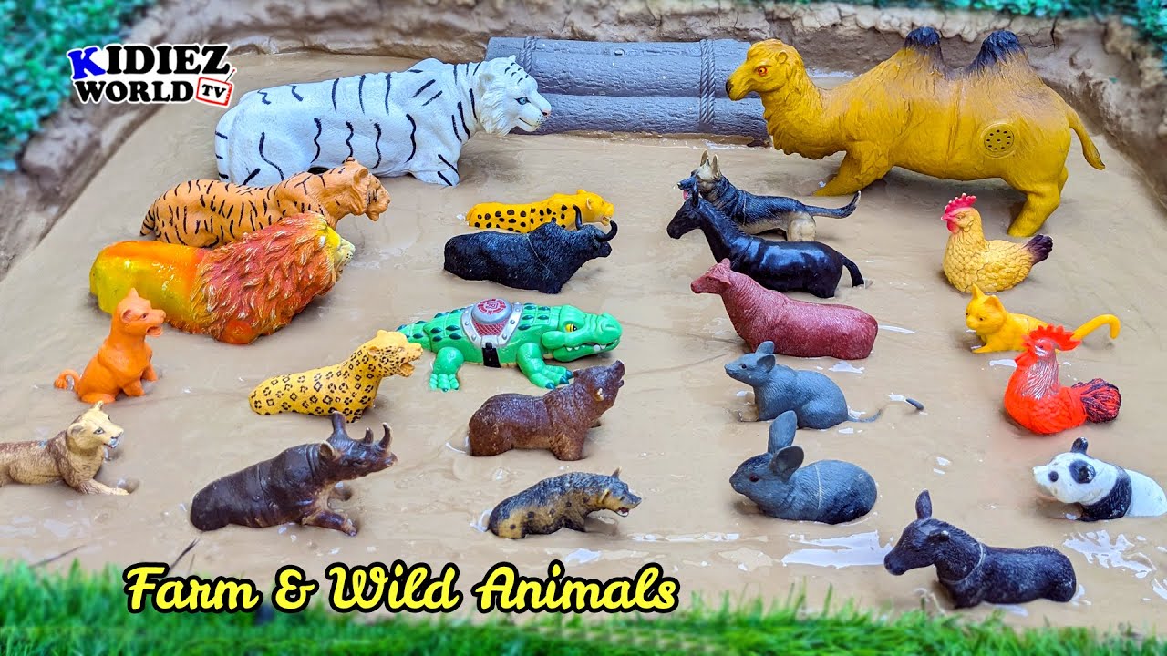 Fun Learning with Wild & Farm Animals for Kids | Lion, Horse, Tiger ...