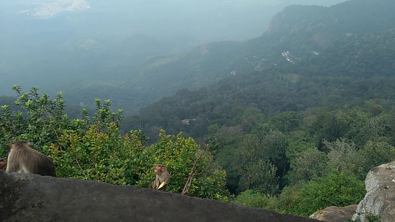 Ladies Seat view point Yercaud | Salem - YouTube