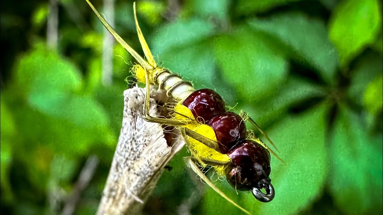 The Golden Stone Fly Pattern - YouTube