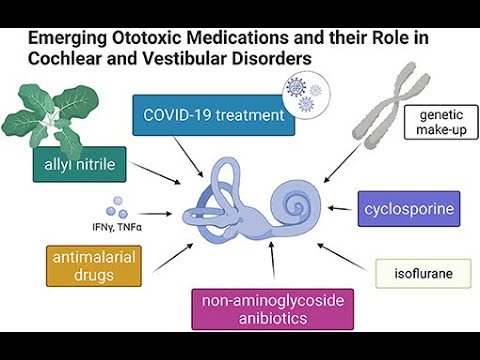 Ototoxicity (Ear Posioning); Definition, causes, Symptoms, Diagnosis ...