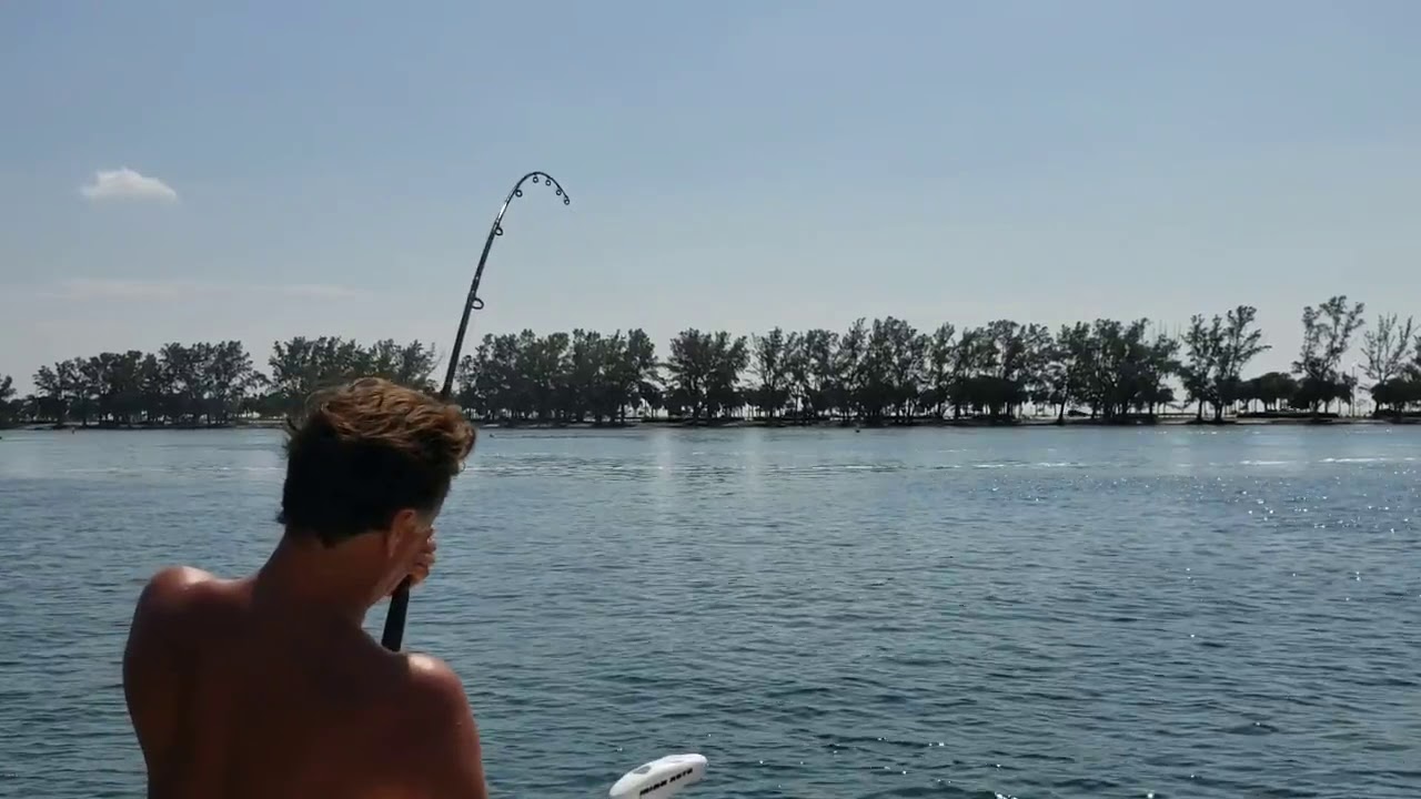 Tarpon jump slomo - YouTube