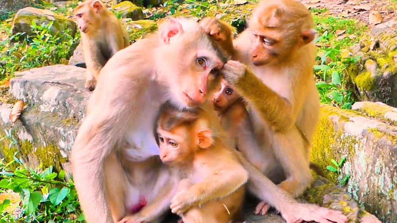 Sweet family Lauy and Flora 💕🙉Baby Lexi with Floran after getting milk ...