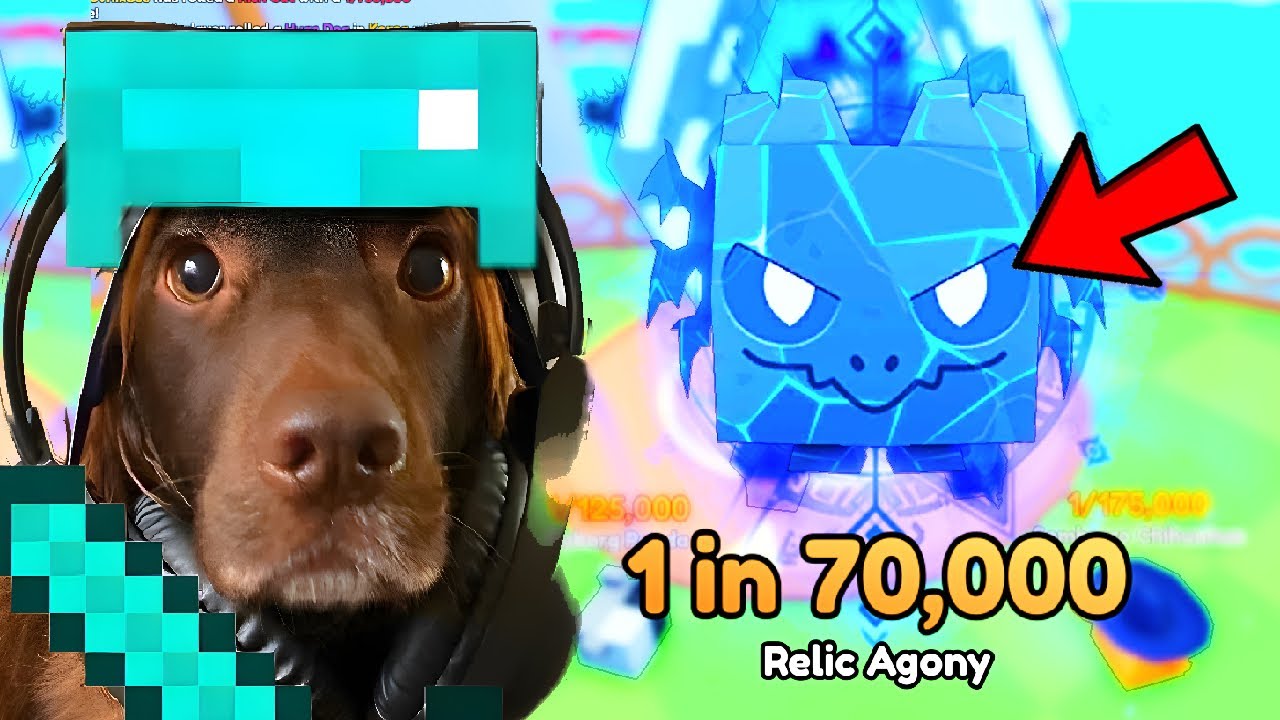 Playing PETS GO For The First Time - YouTube