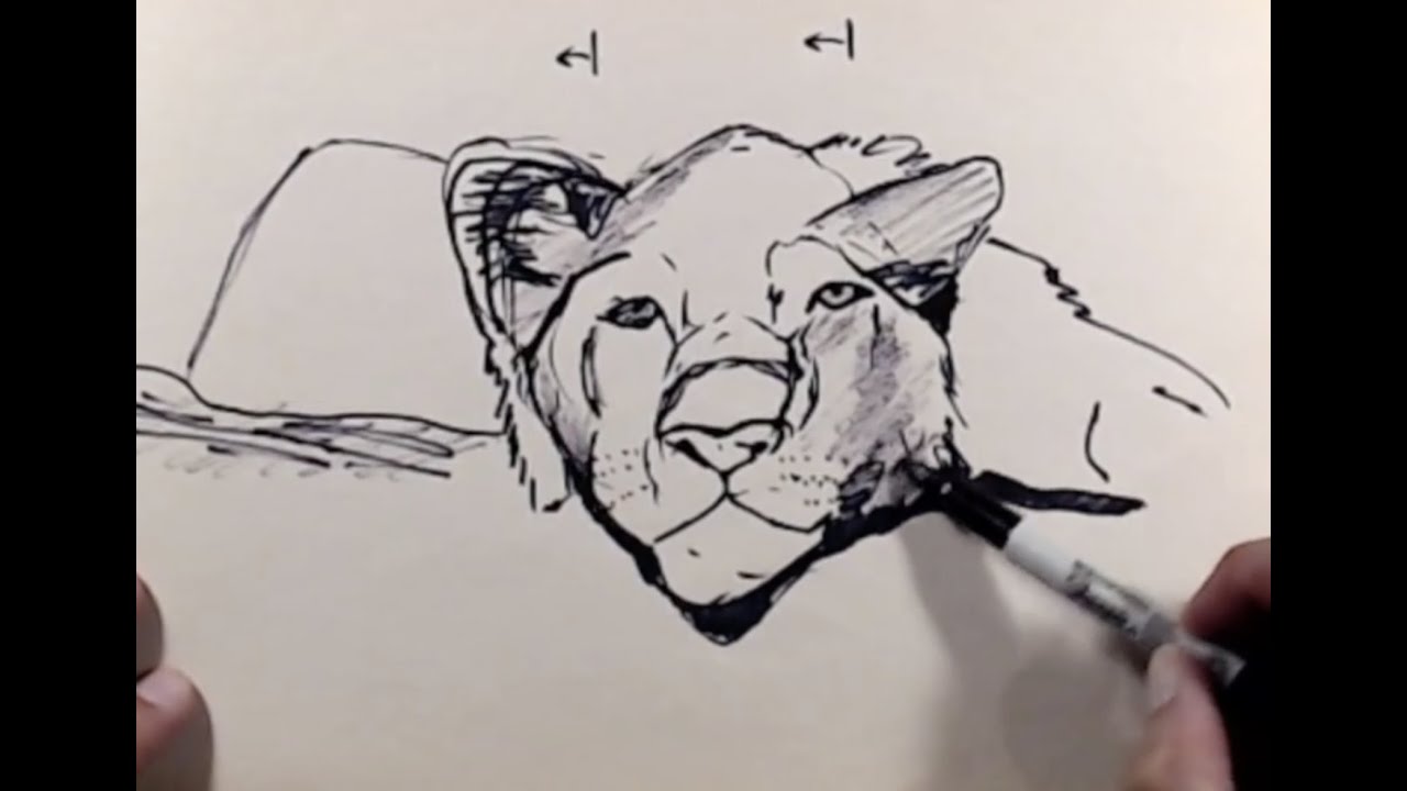 My drawing struggles - 23 (speed drawing) - YouTube