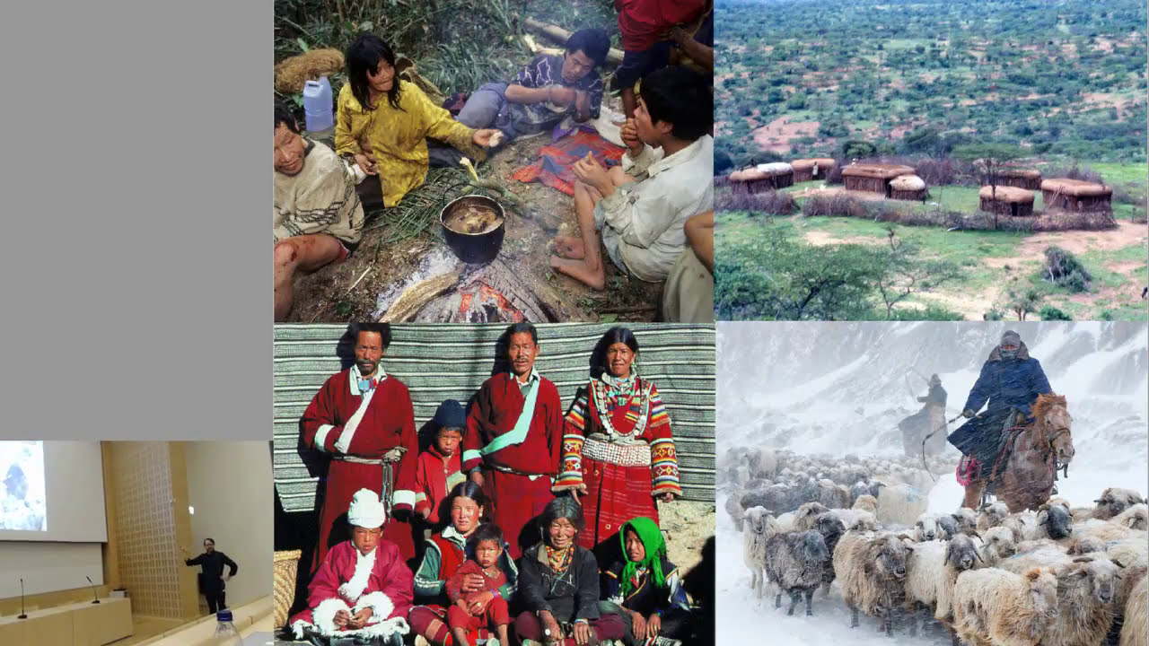 A Life History of Human Foraging in 39 Societies - YouTube