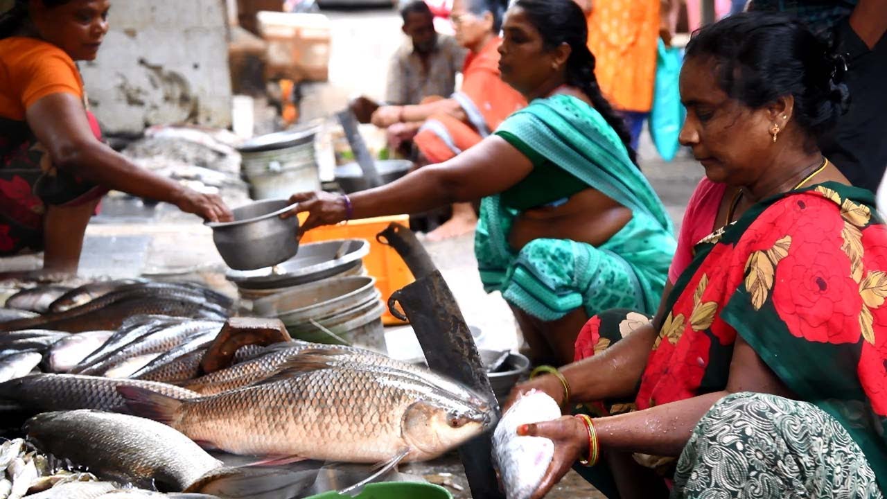 Amazing Live FISH Cutting Skills By Woman | Fresh FISH Cutting by ...