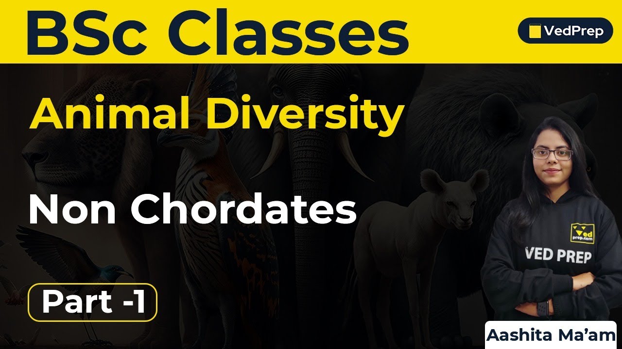Diversity in Animals | Diversity of Non Chordates bsc | VedPrep BSc ...