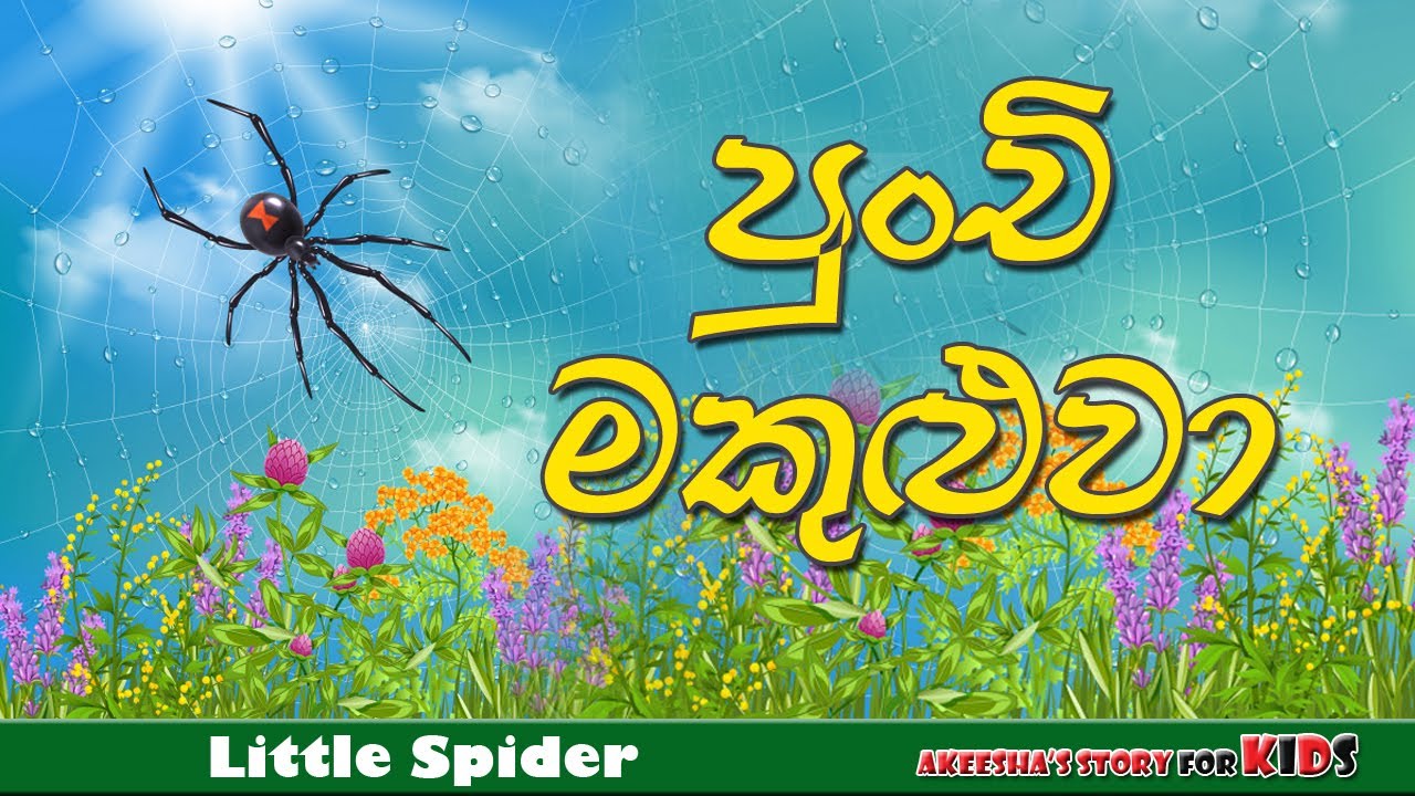 පුංචි මකුළුවා|Little Spider|About Spider|Grade 1 Sinhala|Lessons Sinhala Grade 1|Story For Kids ...