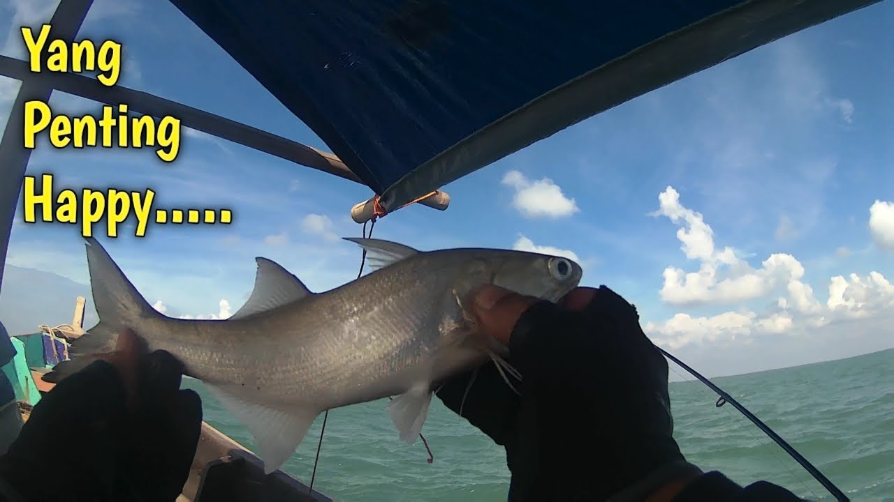 BEGINILAH JIKA PEMANCING EMPANG MANCING DI LAUT - YouTube