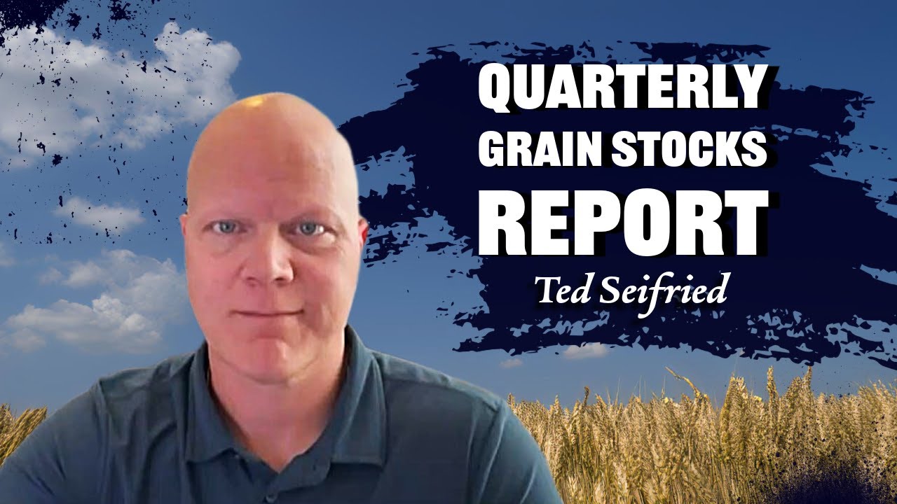 Quarterly Grain Stocks Report: Ted Seifried on RFD-TV - YouTube