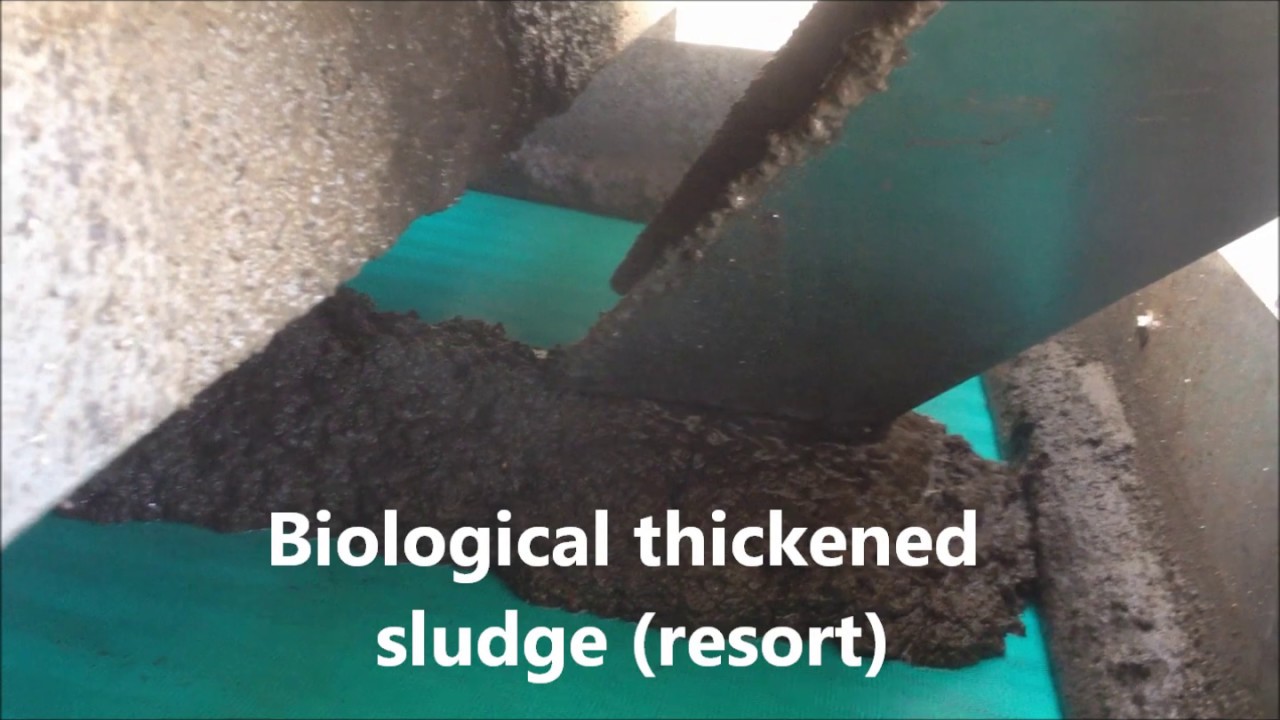 Biological sludge from a resort - Thickened sludge - YouTube