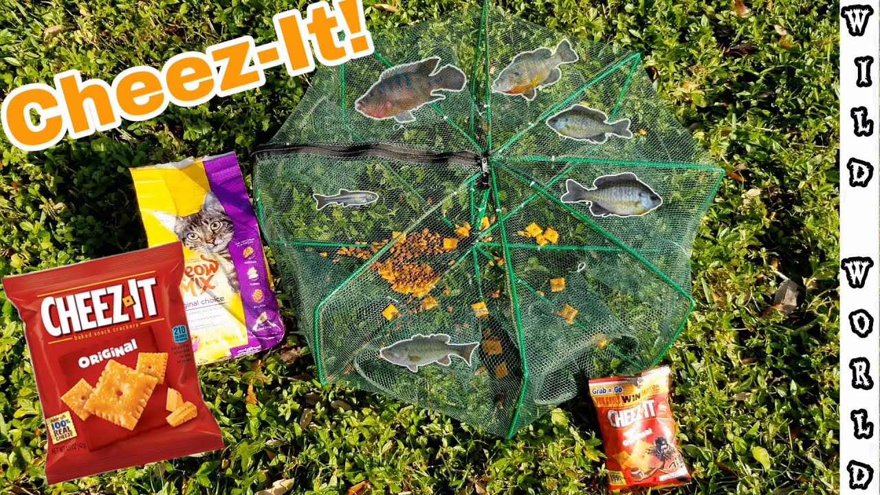 CHEEZ-ITS FISH TRAP! - YouTube